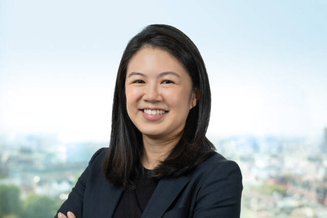 Our team — Aquila Clean Energy APAC